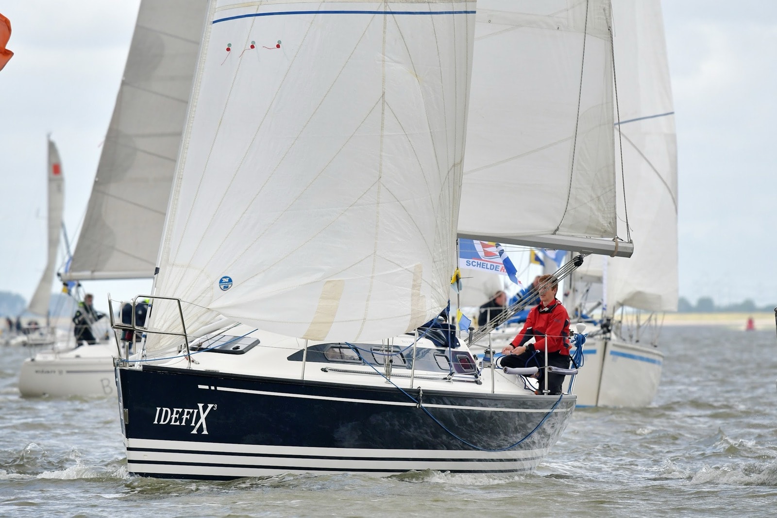 Schelderegatta in teken van Tall Ships Races in Antwerpen - watersport-tv